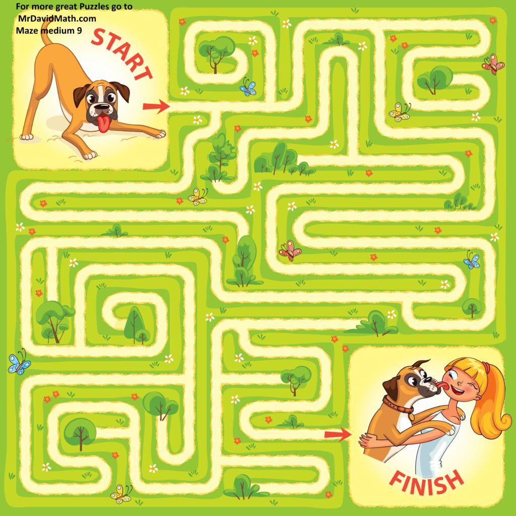 Maze Puzzles (Difficulty Medium) – Mr David Math