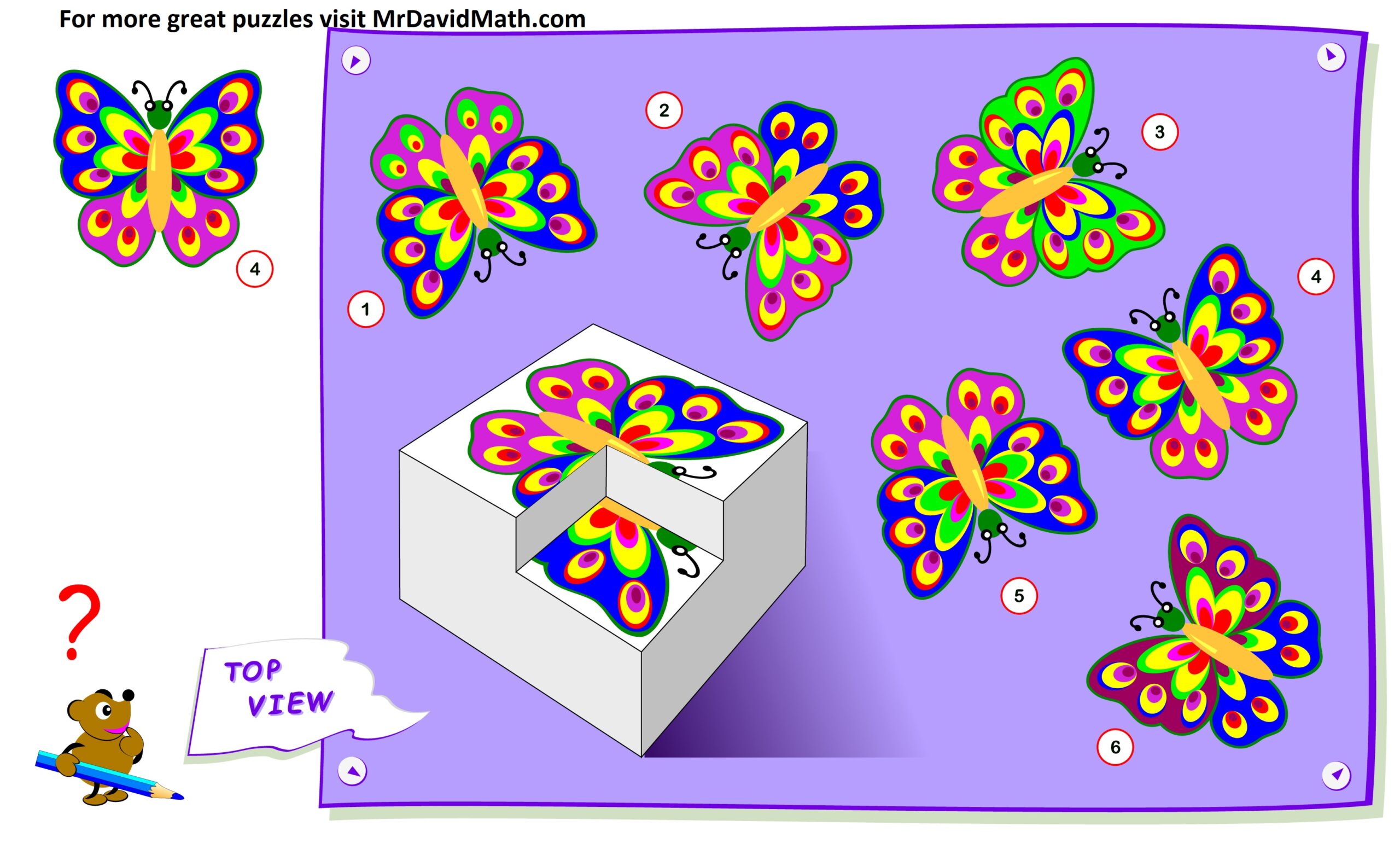 Top view (Geometry) – Mr David Math