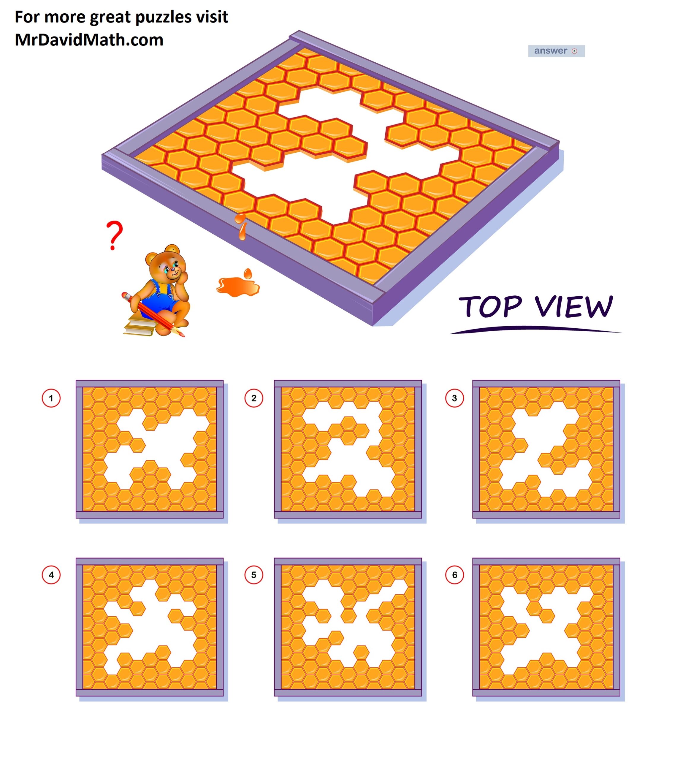 Top view (Geometry) – Mr David Math